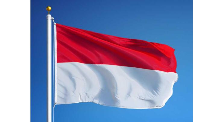 Indonesia To Build 100 GW Solar Power Plant Project At Estimated ...